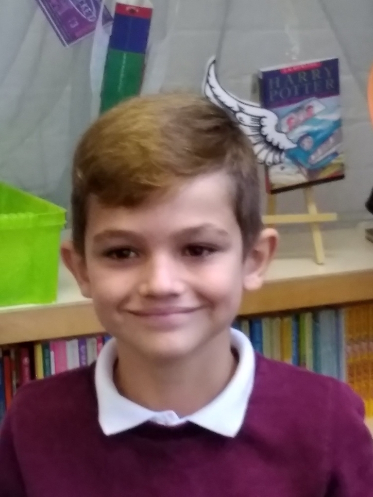 Red Hall Primary School - School Council