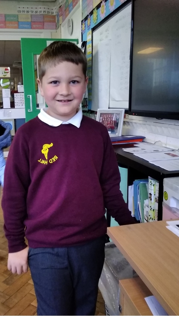 Red Hall Primary School - School Council